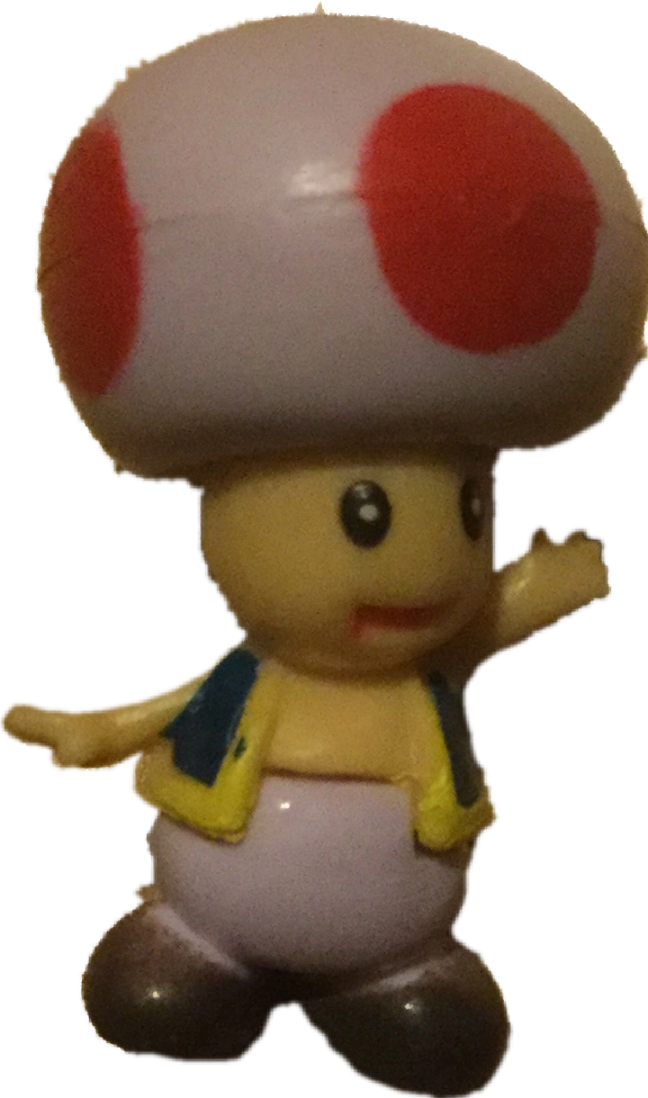 Toad | Super Adventure Wiki | Fandom