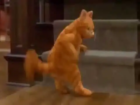 El baile del Sua Sua | Wiki Super Bailables Shrek & Garfield | Fandom
