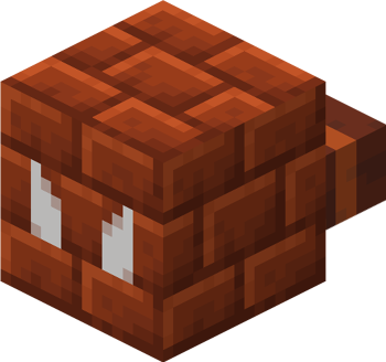 Fake Block | Super Block World Wiki | Fandom
