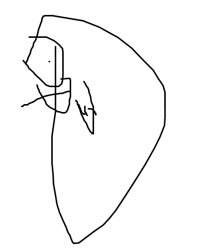 Incidental 43 | Super chatia Wiki | Fandom