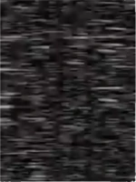 Low Quaity Static | Super Custom Night Wiki | Fandom