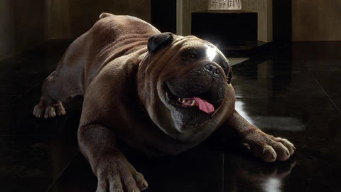 Lockjaw | Super Death Battle Fanon Wikia | Fandom
