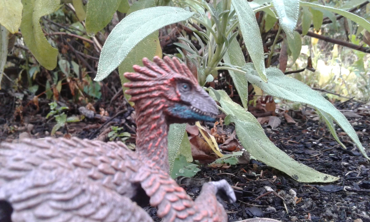 Pyro | Super Dino Adventures Wiki | Fandom