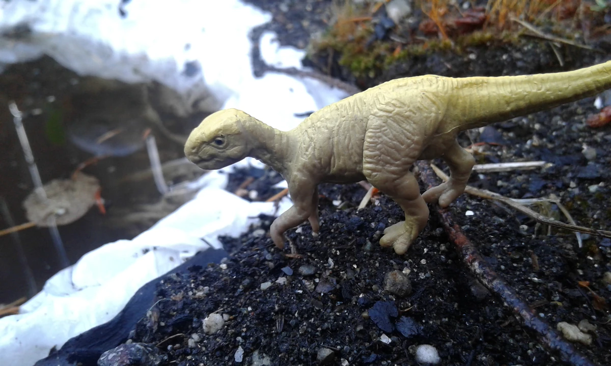 Perry | Super Dino Adventures Wiki | Fandom