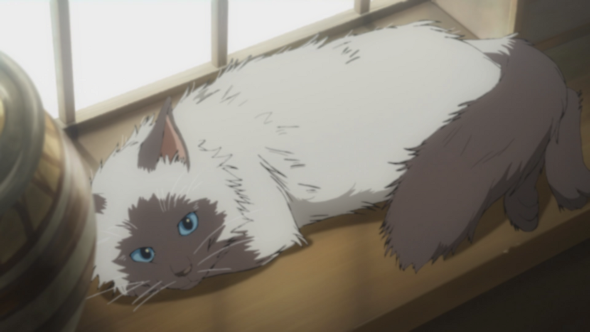 Moka Super Fanon Wiki Fandom