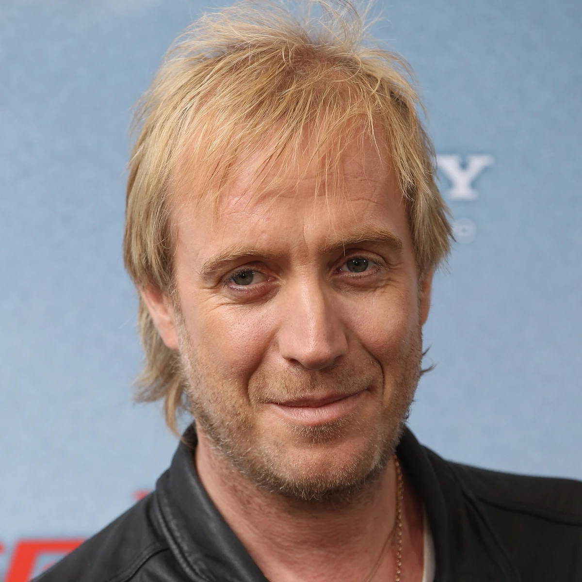 Rhys Ifans | Super Furry Animals Wiki | Fandom