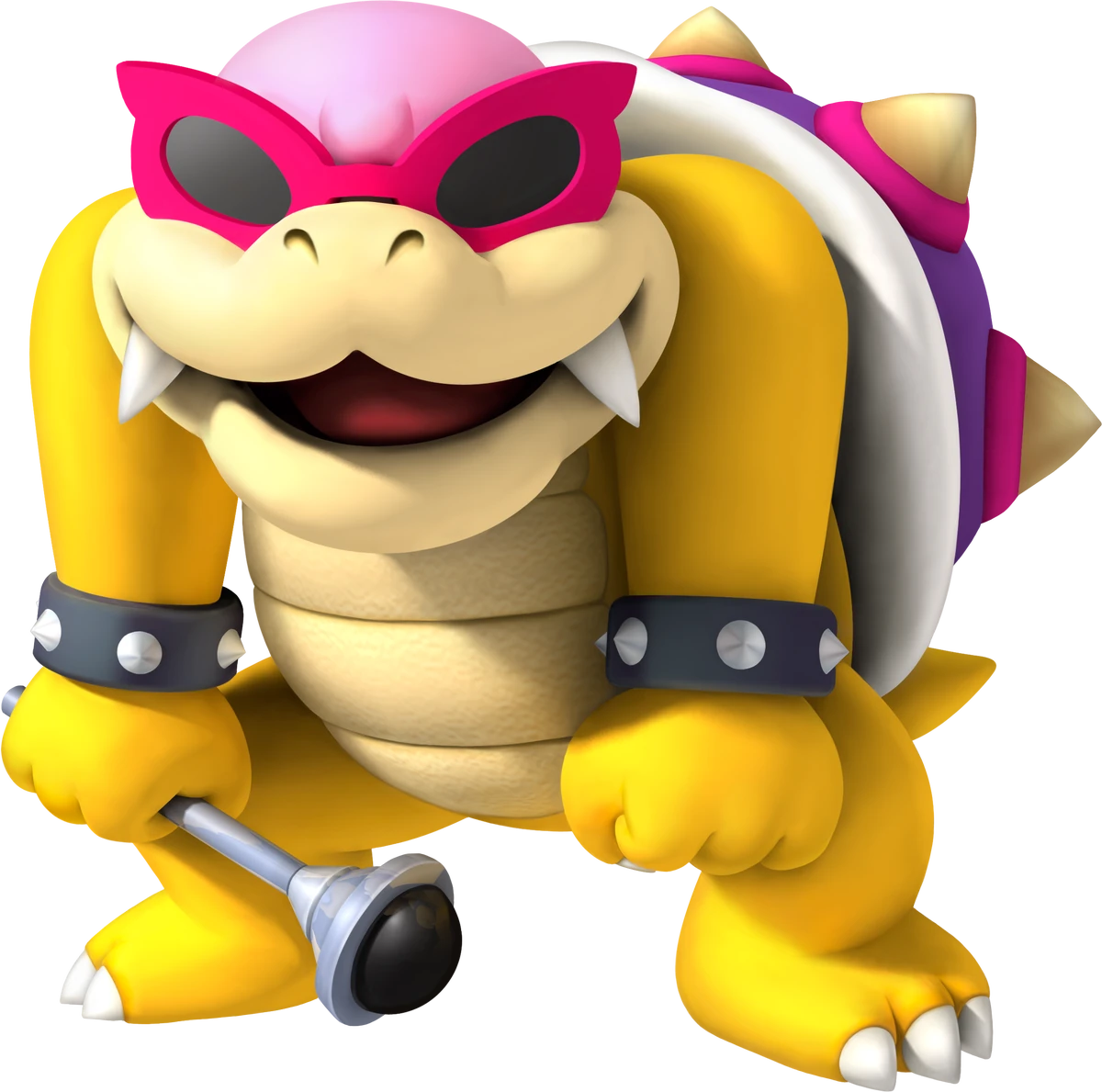 Roy | Super Mario and the Star Prisms Wiki | Fandom