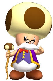 Toadsworth | Super Mario Brothers Wiki | Fandom