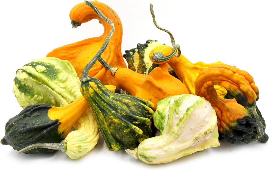 Gourds | Super Reliable Wiki | Fandom
