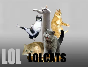LOLCats | Super Smash Bros. Lawl Toon: Brother Location Wikia | Fandom