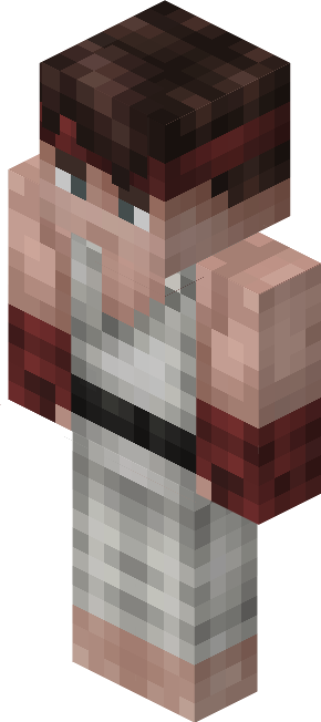 Ryu | Super Smash Bros. Re:Crafted Wiki | Fandom