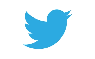 The Twitter Logo | Super Smash Flash 3 Wiki | Fandom