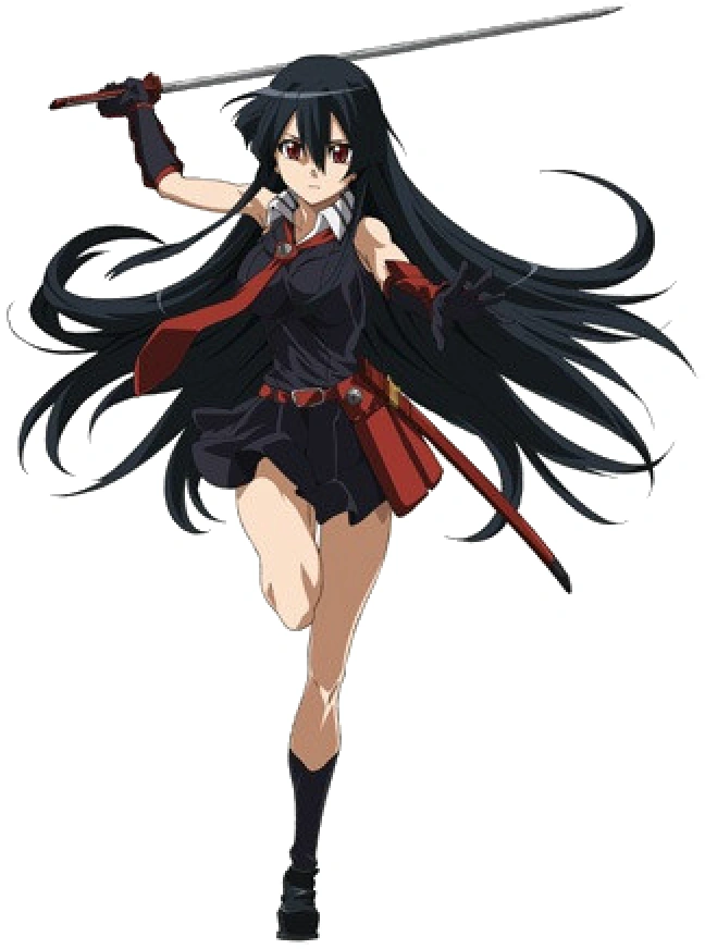 Akame | Super Smash Keybladers Wiki | Fandom