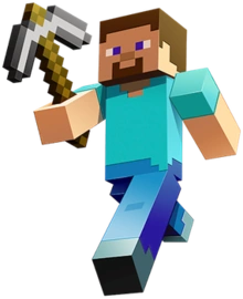 Steve | Super Video Game Wiki | Fandom