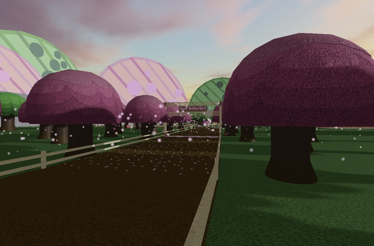 Category:Off-Road Tracks | Super Roblox Kart Wiki | Fandom