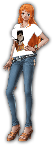 Nami | SuperAndrew418 Character Elimination Wiki | Fandom