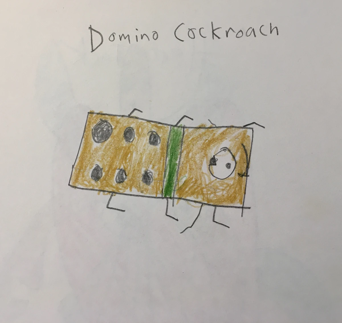 Domino Cockroach | SuperAnimalSquadronWikia Wikia | Fandom