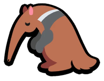 Pet Giant Anteater