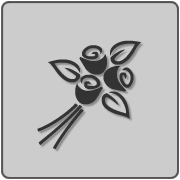 Carl Brutananadilewski | Aqua Teen Hunger Force Wiki | Fandom