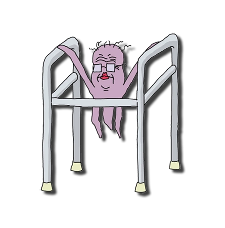 Granny Cuyler | Aqua Teen Hunger Force Wiki | Fandom