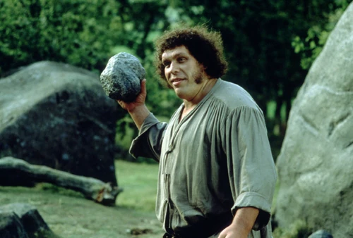 Fezzik Princess Bride