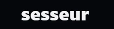 Sesseur | SuperEpicFailpedia Wiki | Fandom
