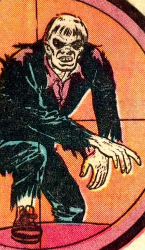 Solomon Grundy (DC Comics character) | SuperEpicFailpedia Wiki | Fandom