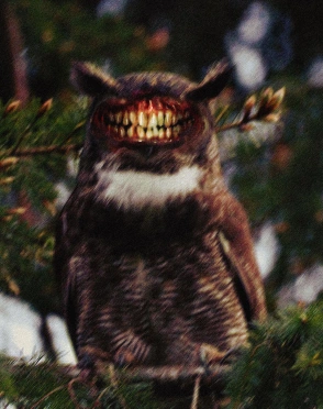 Smiling Owl | SuperEpicFailpedia Wiki | Fandom