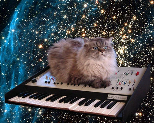 Cat on a Keyboard in Space | SuperEpicFailpedia Wiki | Fandom