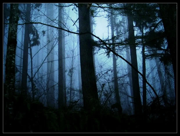 Shadow Forest | Superhero Fanon Wiki | Fandom