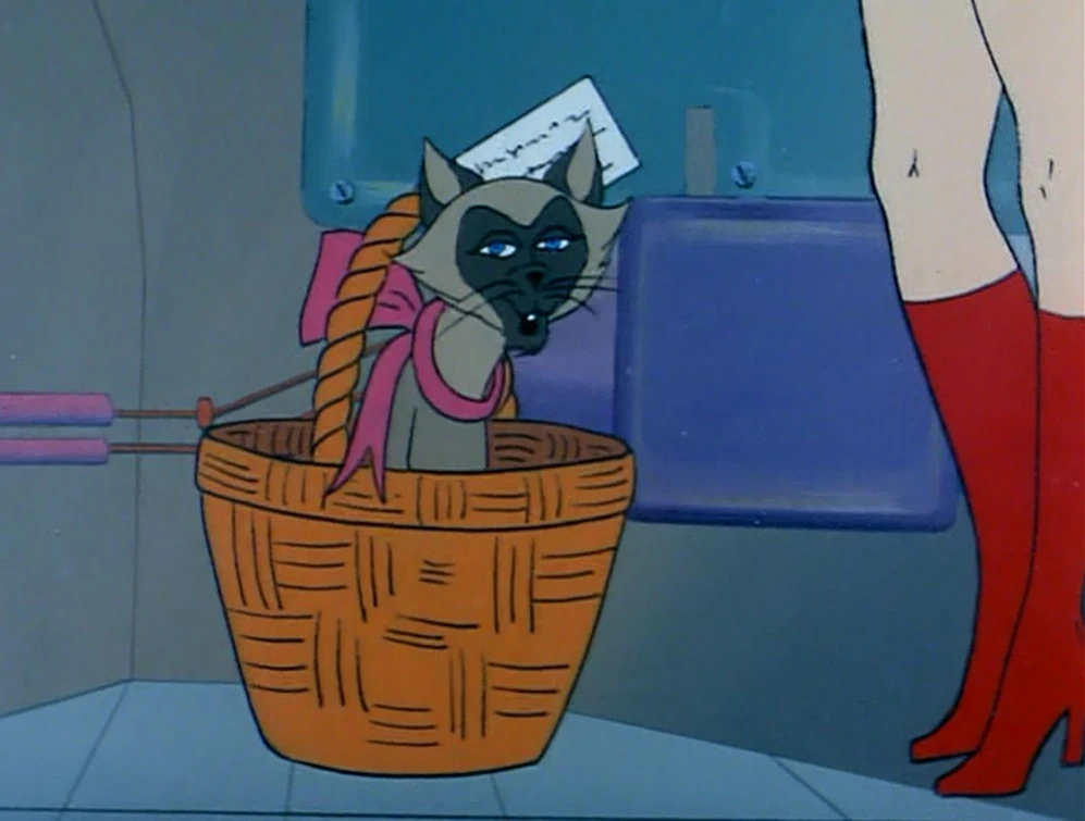 Secret admirer | SuperFriends Wiki | Fandom