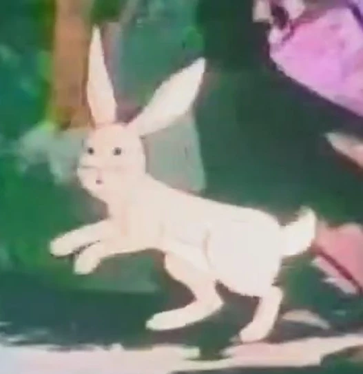 Hare | SuperFriends Wiki | Fandom