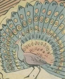 Peacock | SuperFriends Wiki | Fandom