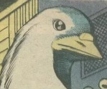 Pigeon | SuperFriends Wiki | Fandom