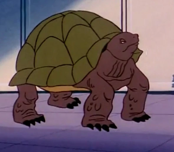 Turtle | SuperFriends Wiki | Fandom