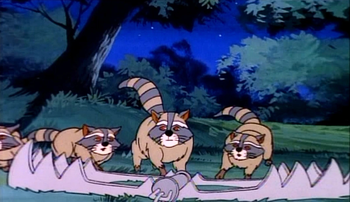 Raccoon | SuperFriends Wiki | Fandom