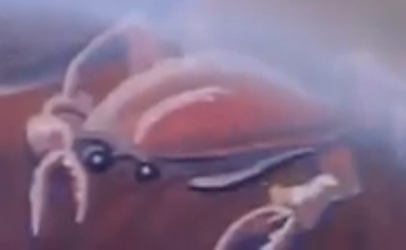 Crab | SuperFriends Wiki | Fandom