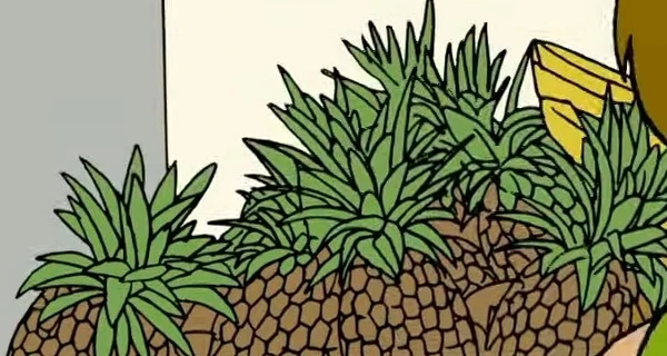 Pineapple | SuperFriends Wiki | Fandom