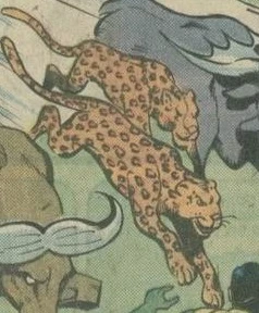 Leopard | SuperFriends Wiki | Fandom