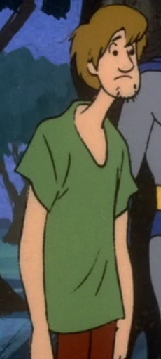 Shaggy Rogers | SuperFriends Wiki | Fandom