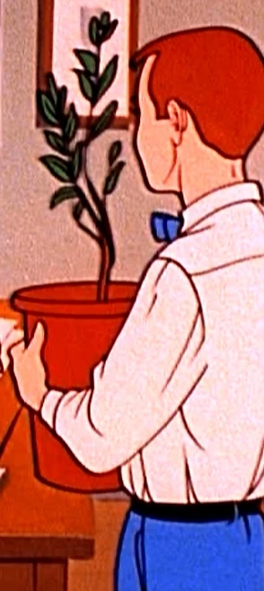Beany's tree | SuperFriends Wiki | Fandom