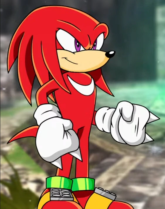 Knuckles the Echidna | SuperHedgehogBros Wiki | Fandom