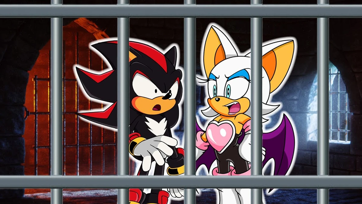 IN JAIL! Shadow and Rouge Live Q&A from The Acorn Kingdom Dungeon... | SuperHedgehogBros Wiki ...