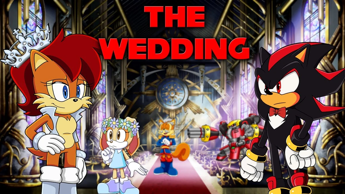 WEDDING DAY! Shadow Marries Sally Q&A LIVE | SuperHedgehogBros Wiki ...