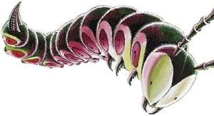 Mister Mind | Superhero Films Wiki | Fandom