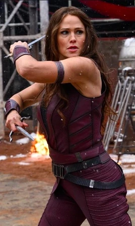 Elektra (Jennifer Garner) | Superhero Films Wiki | Fandom