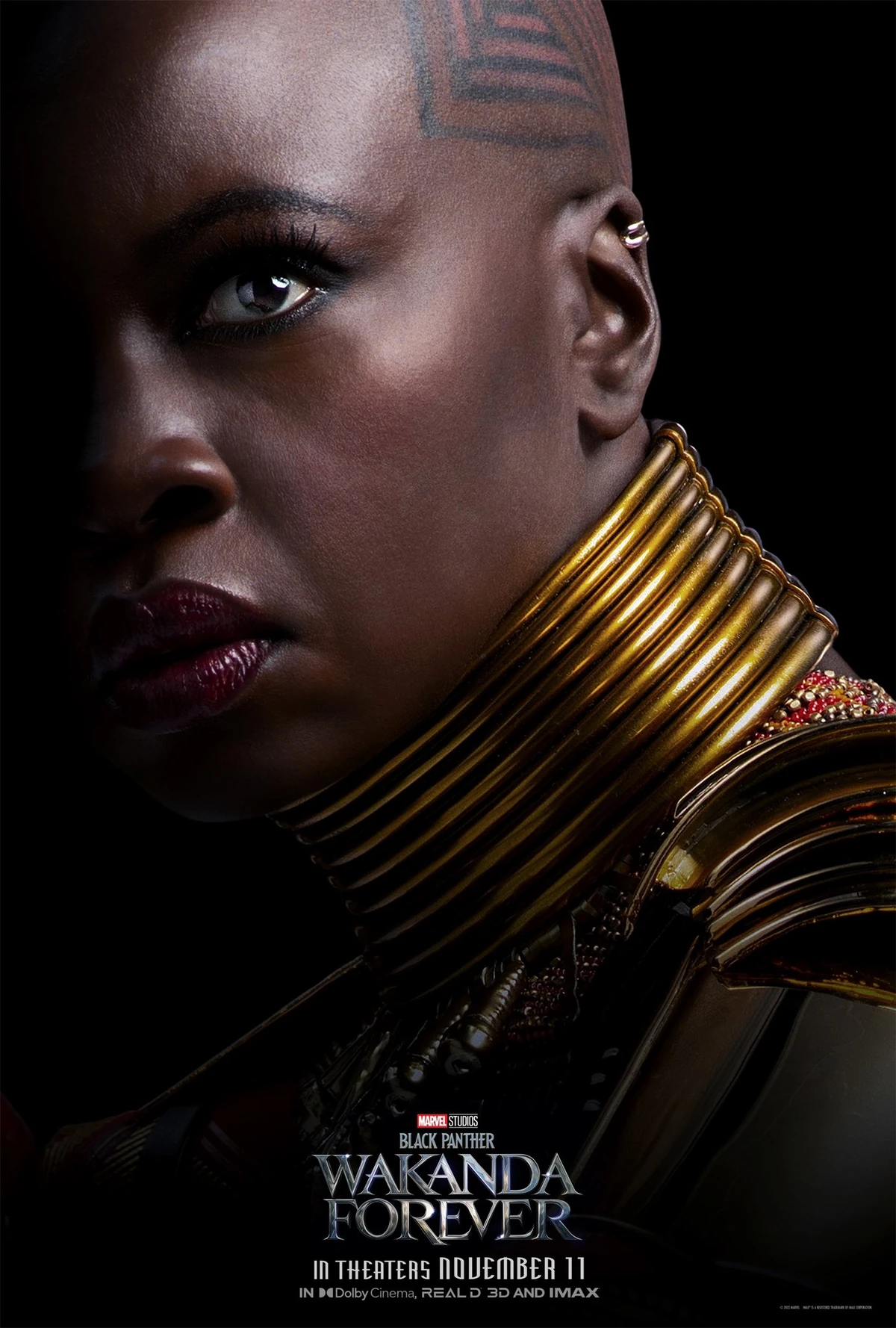 Okoye (Marvel Cinematic Universe) | Superhero Films Wiki | Fandom