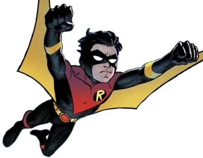 Robin (Matt McGinnis) | Superhero Wiki | Fandom