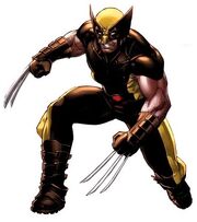 Wolverine | Superhero Wiki | Fandom