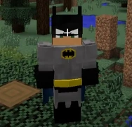 Batman/The Animated Series | Minecraft Legends Mod Wiki | Fandom